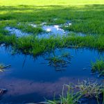 Fixing a flooded lawn | Snappy’s Outdoor Equipment Sales & Service